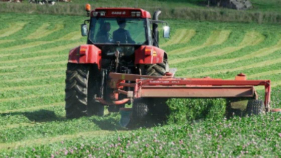 ley farming :- What is ley farming?